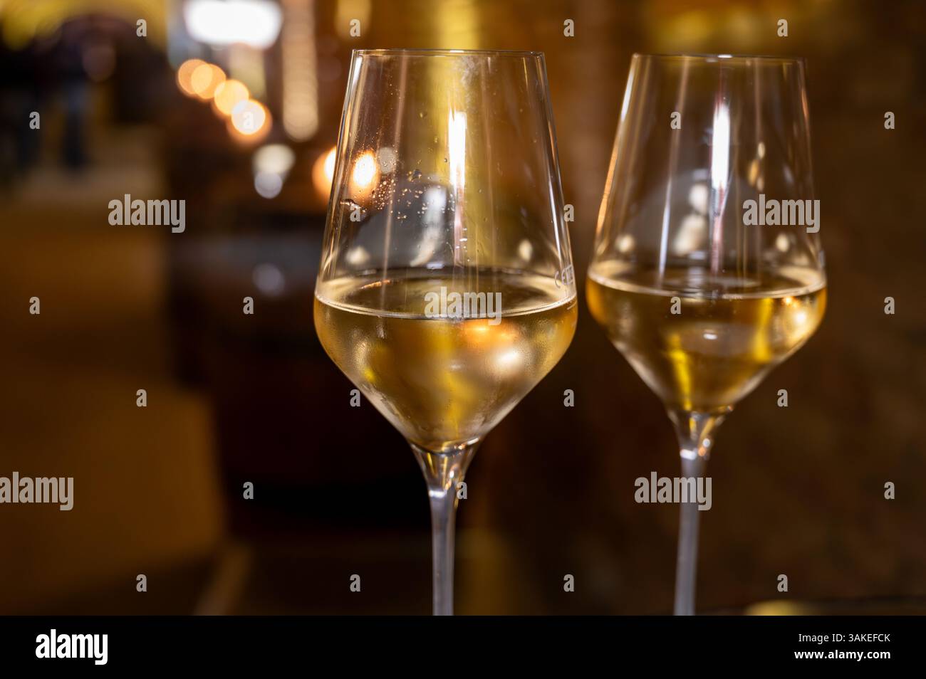 Visit of wine cellar, tasting of brut champagne sparkling wine produced by traditional method in ...