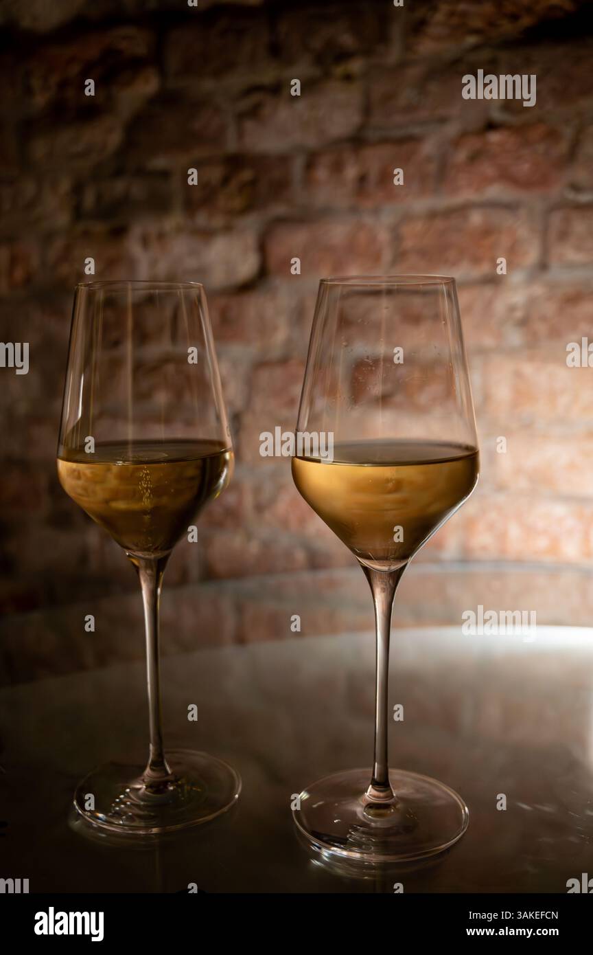 Visit of wine cellar, tasting of brut champagne sparkling wine produced by traditional method in ...