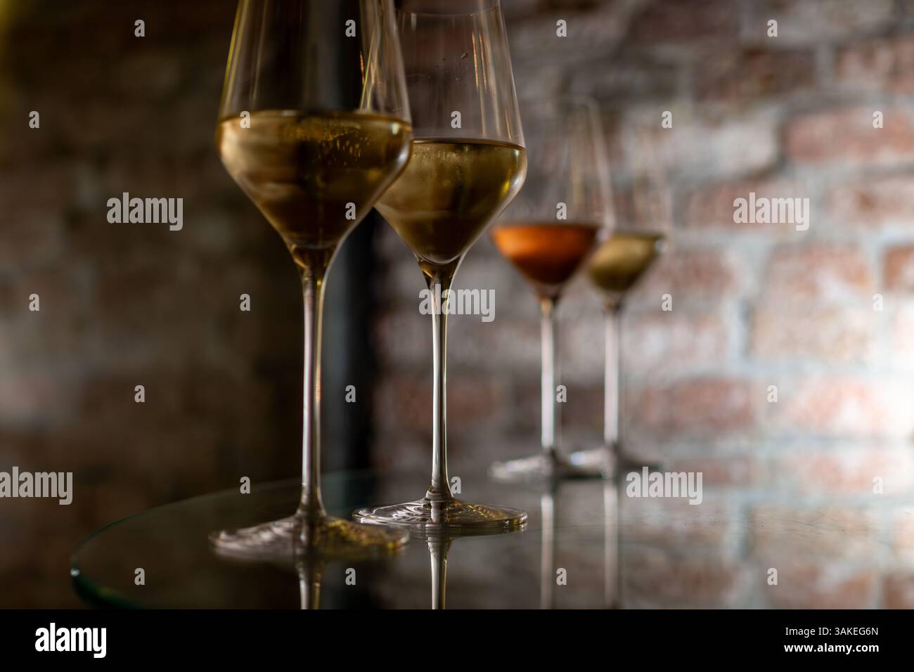 Visit of wine cellar, tasting of brut champagne sparkling wine produced by traditional method in ...