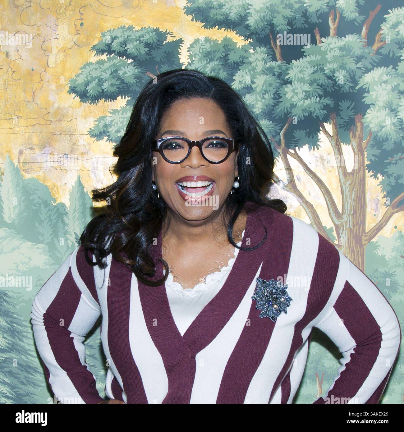 April 18, 2017 - New York, New York, U.S. - OPRAH WINFREY promotes 'The ...
