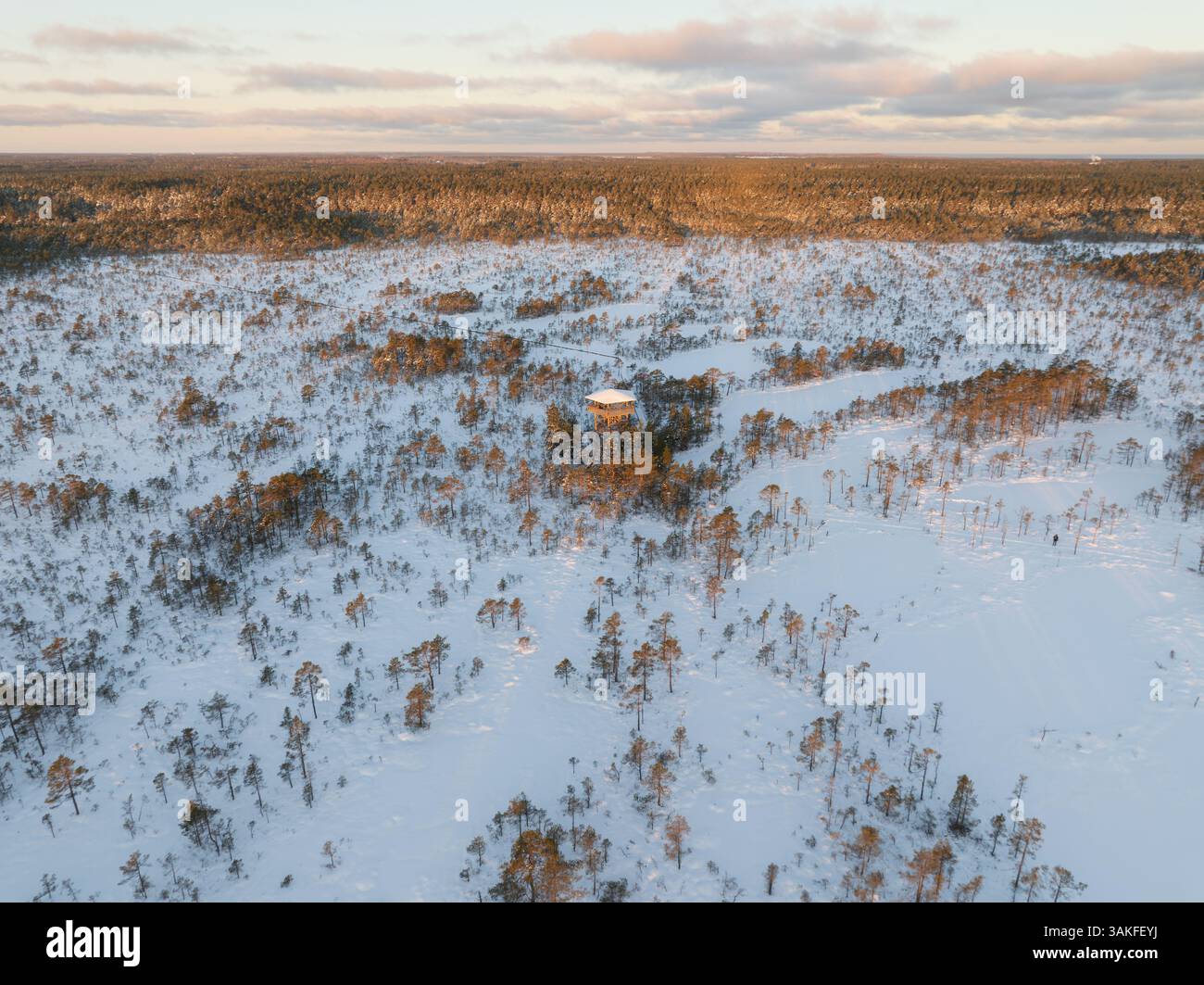 Aerial view captures observation tower hi-res stock photography and ...