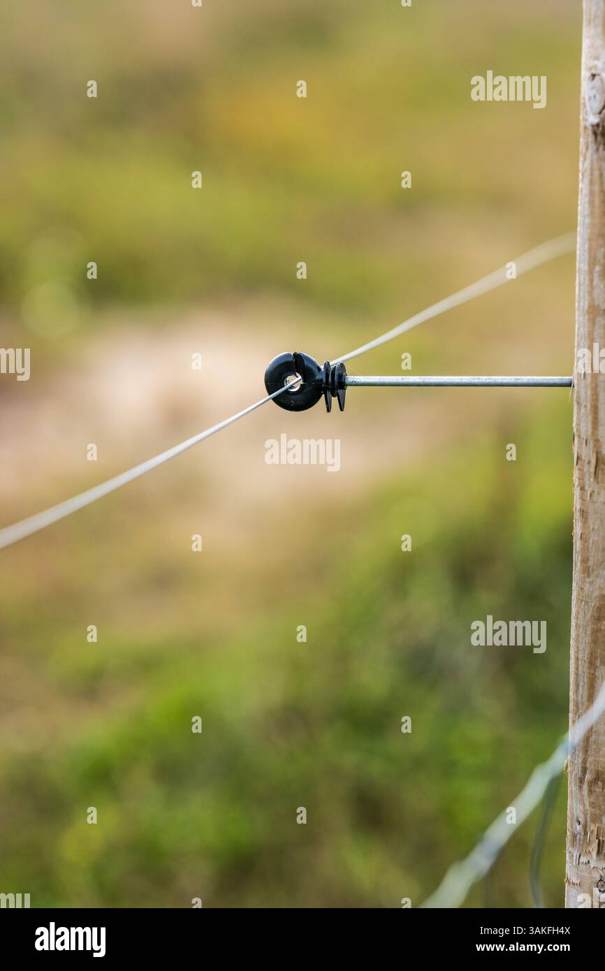 Metal fence row lamp hi-res stock photography and images - Alamy