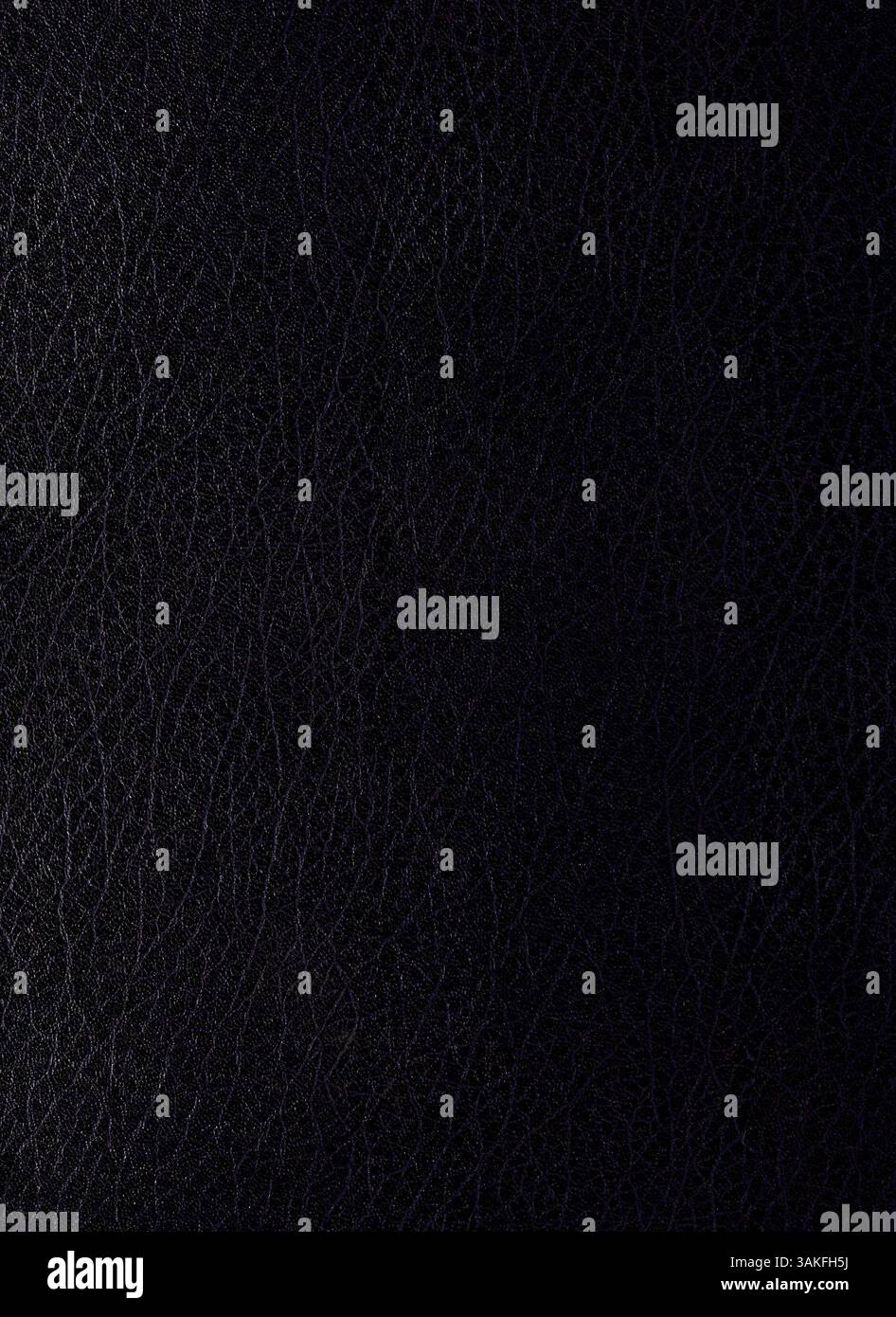 The 1986 Southwest High Yearbook, 'Nineteen Eighty Six Wagistanian ...