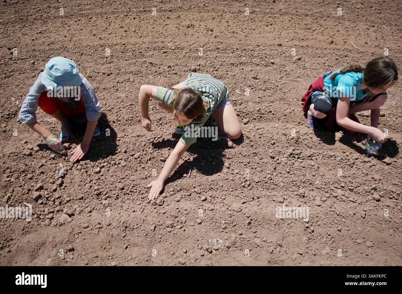 School organics hi-res stock photography and images - Alamy
