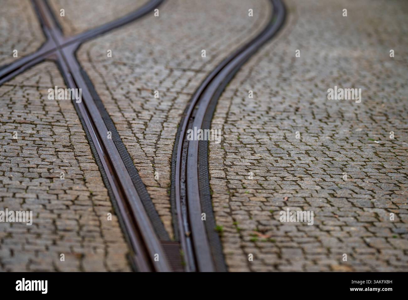Tram tracks crossing on cobblestone Stock Photo - Alamy