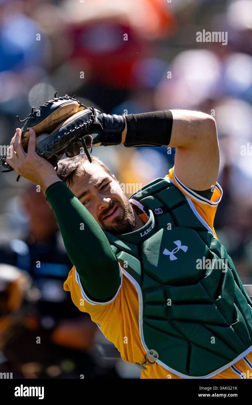 Oakland Athletics catcher Shea Langeliers (23) caches a foul ball ...