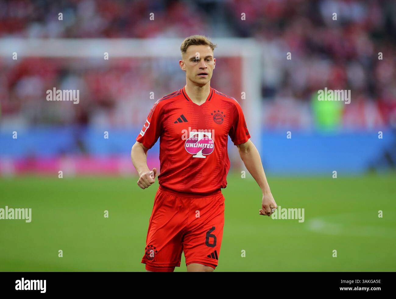 Fussball, Herren, Bundesliga, Saison 2024/2025, FC Bayern München ...