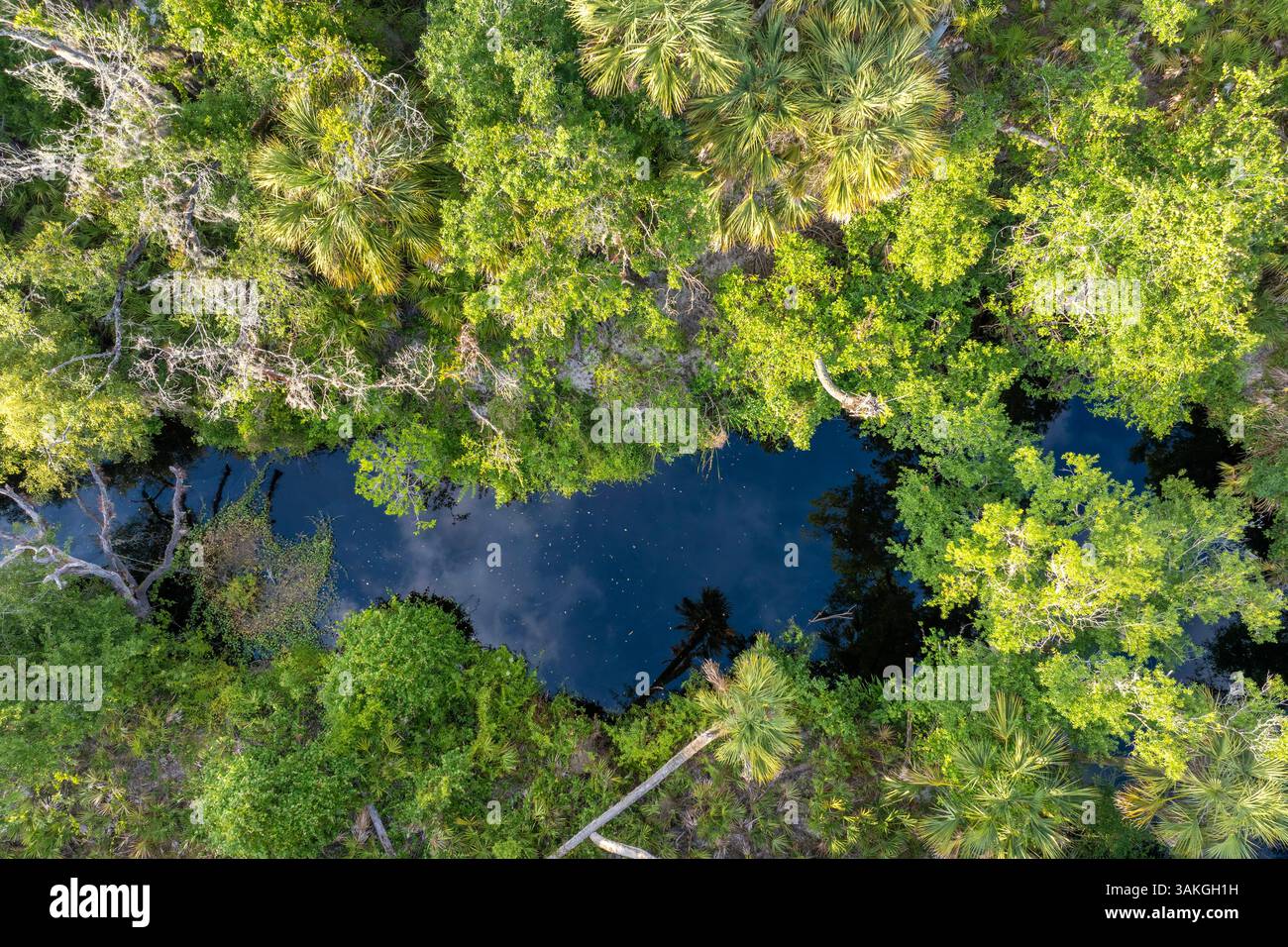 Aerial view of wild tropical nature with dense green rainforest ...