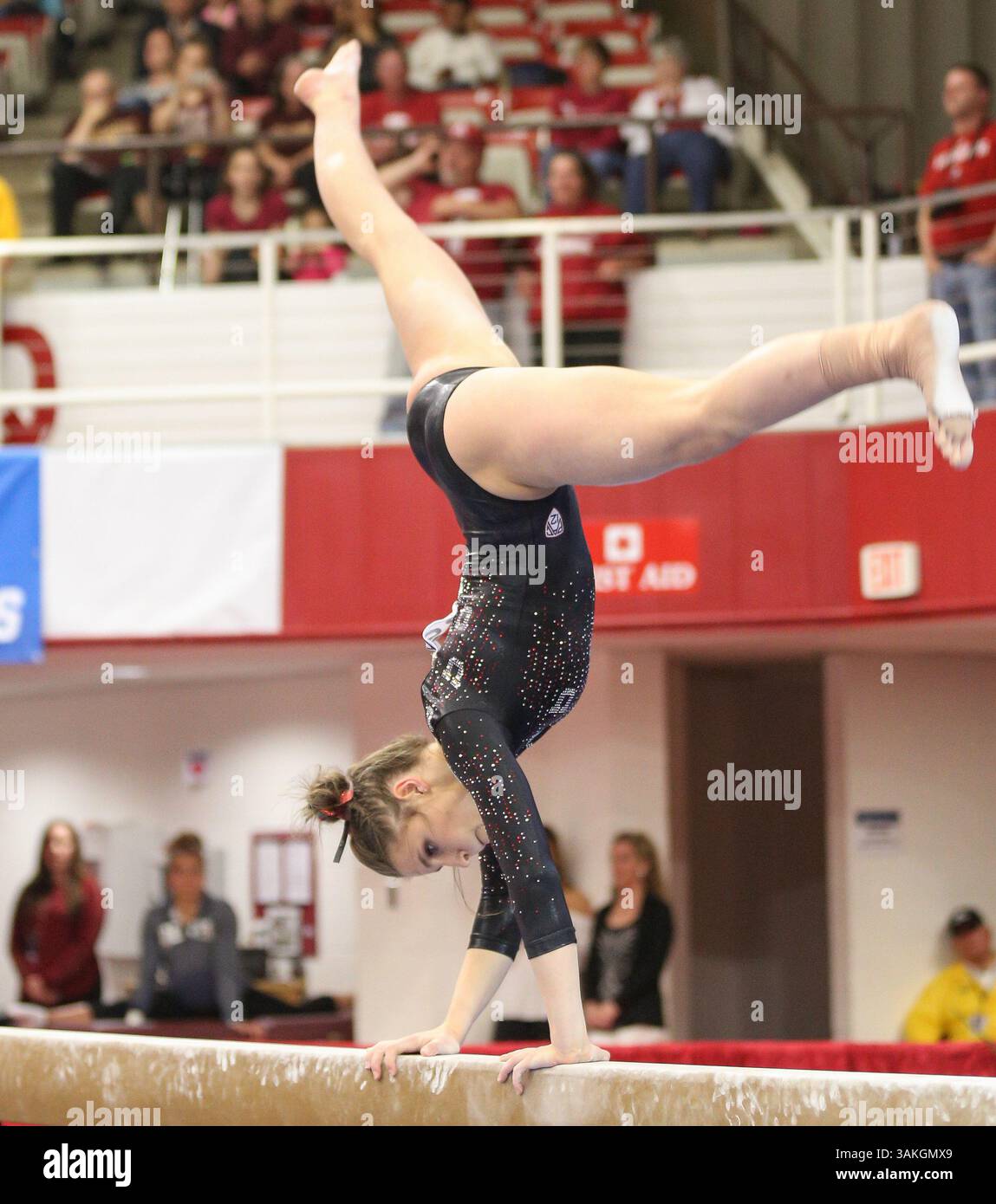 Missy reinstadtler hi-res stock photography and images - Alamy