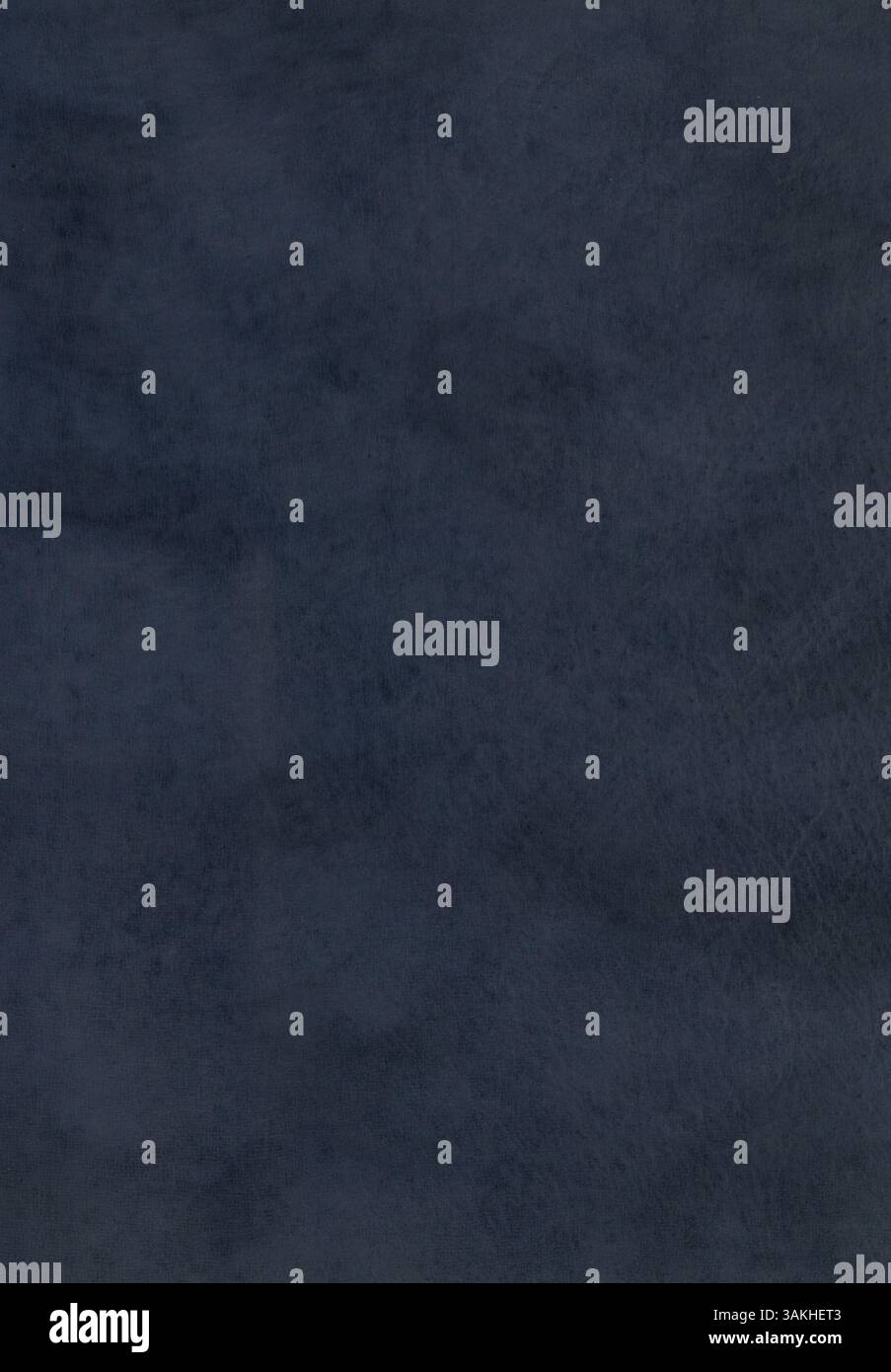 This yearbook from North High School, Polaris 1925, documents the 1924-1925 school year ...