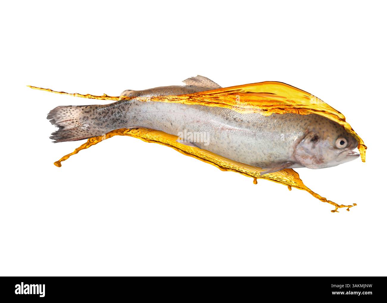 Fresh fish in oil splash on white background Stock Photo - Alamy