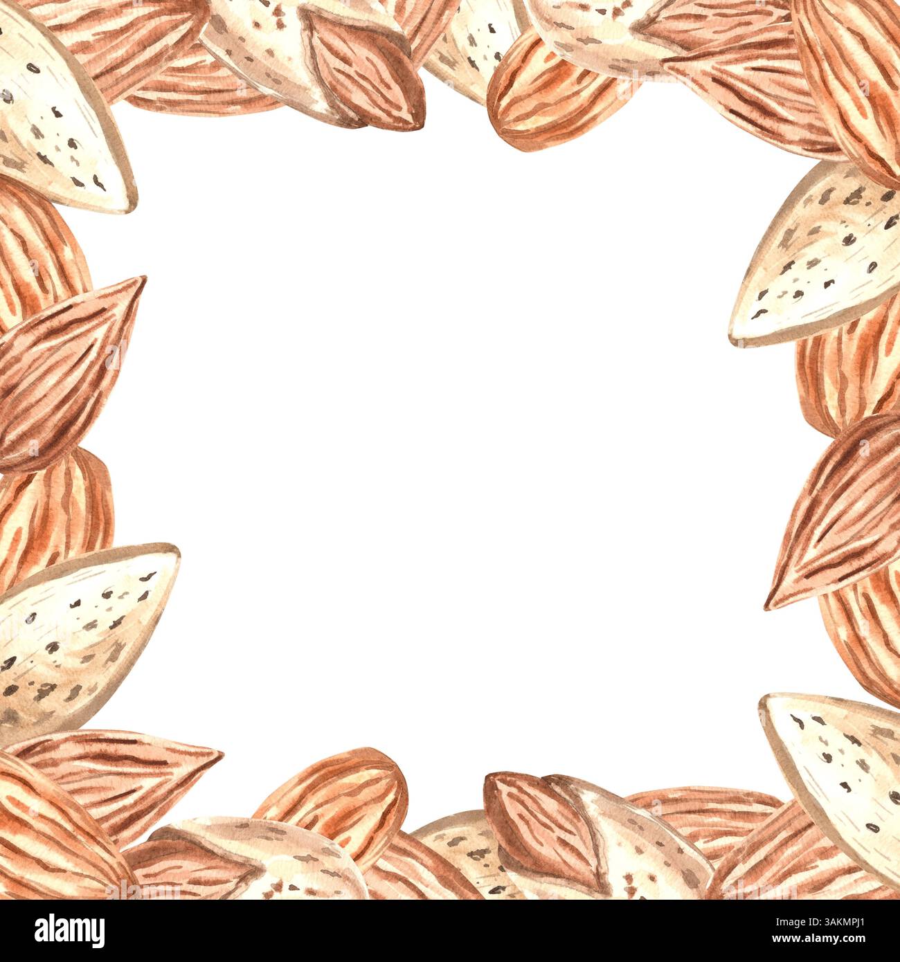 Almond nuts kernels watercolor border. Hand drawn square frame from ...