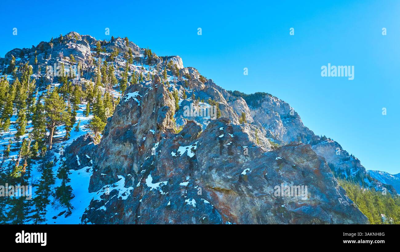 Aerial of Snow-Capped Peaks and Evergreen Forests in Nevada Stock Photo ...