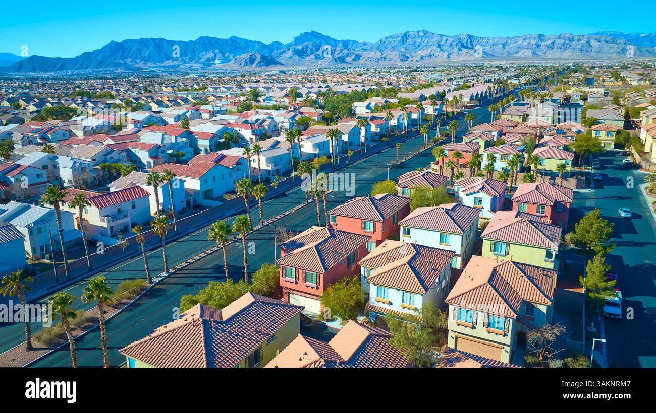 Aerial of Desert Suburban Neighborhood with Palm Trees and Mountains ...