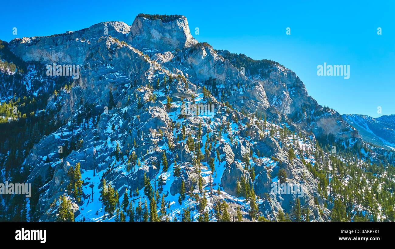 Aerial of Snow-Capped Mt Charleston with Pine Trees in Nevada Stock ...