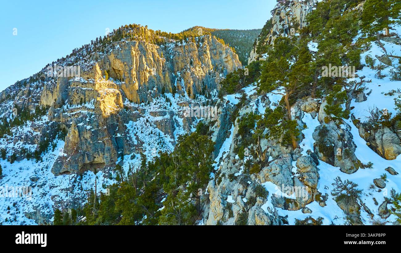 Aerial of Snowy Cliffs and Evergreens in Mt Charleston Nevada Stock ...