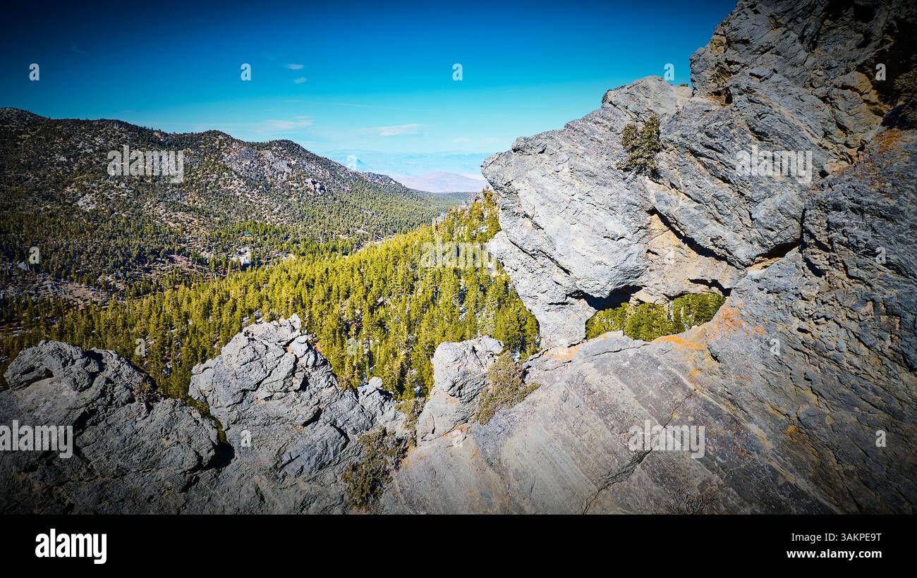 Aerial of Rugged Rocks and Lush Forest in Mt Charleston Nevada Stock ...