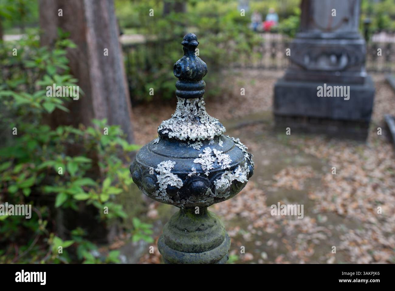 Bonaventure Cemetery, Savannah, Georgia featured in Midnight in the ...