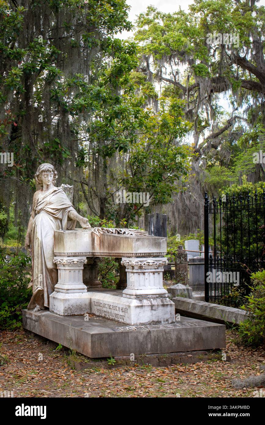 Bonaventure Cemetery, Savannah, Georgia featured in Midnight in the ...