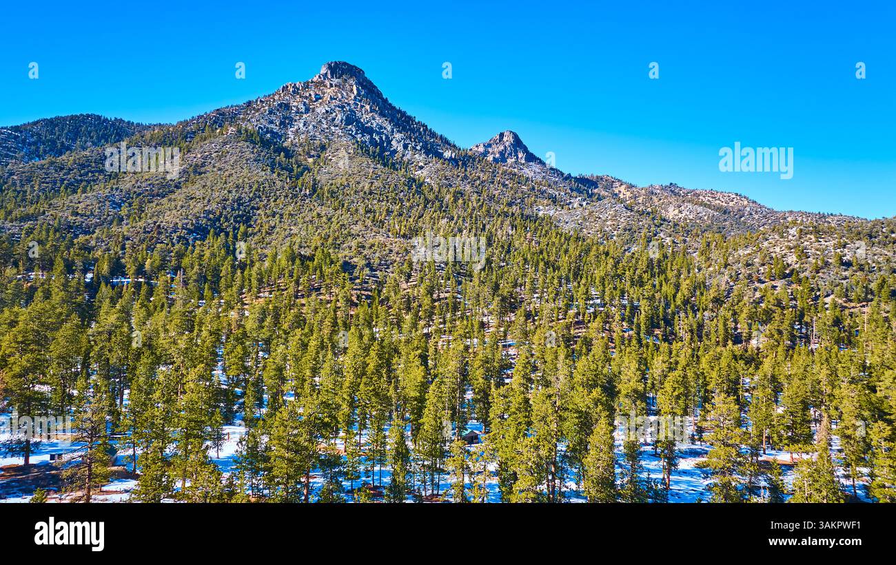 Aerial of Mt Charleston Peaks and Forest in Nevada Stock Photo - Alamy