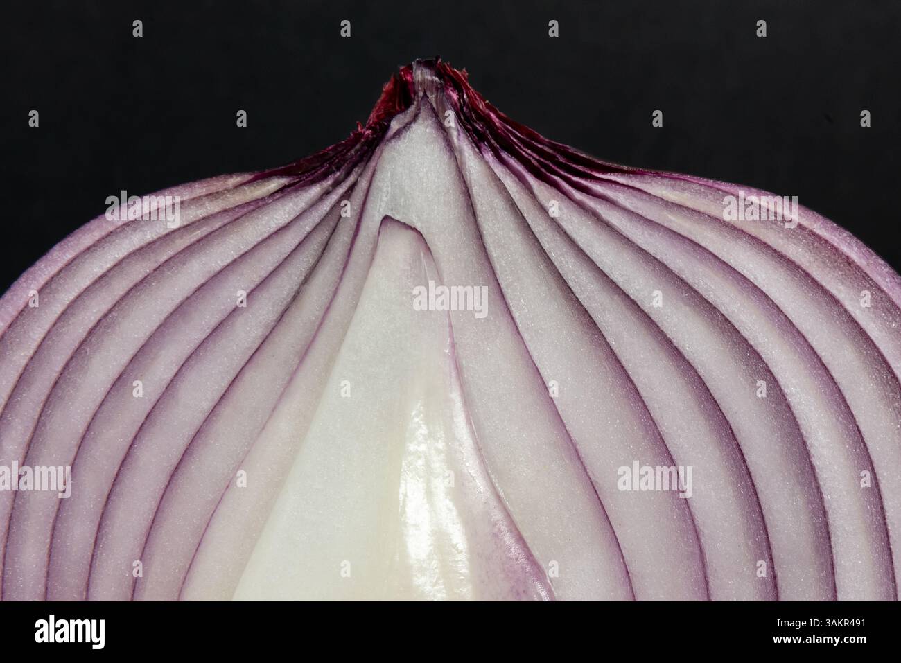 The inside of a raw red onion with black professional background shot ...