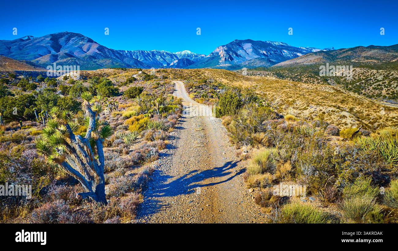 Aerial of Rugged Desert Path and Majestic Mountains at Golden Hour ...