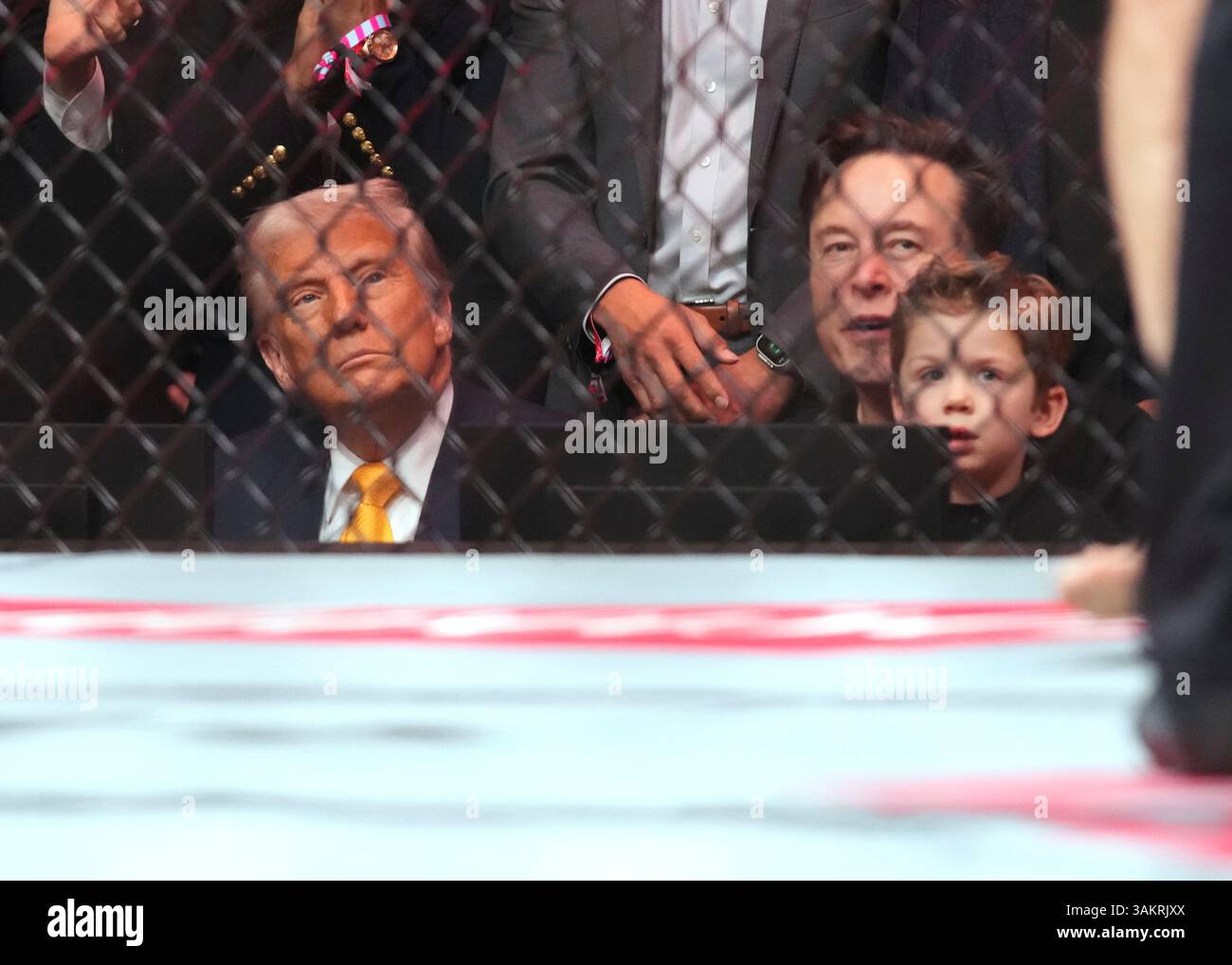 President Donald Trump, from left, Elon Musk, and his son X Æ A-Xii ...