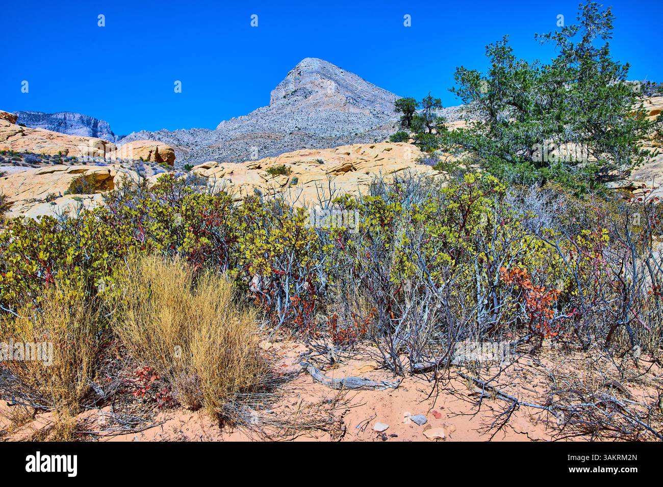 Desert Vegetation and Sandstone Peaks in Nevada Midday Perspective ...