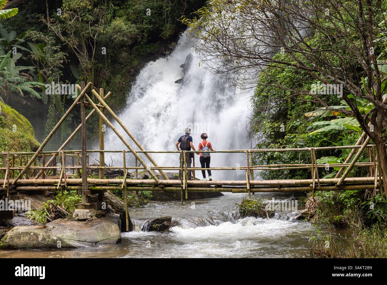 Couple seniors are walking on tropical forest trail in the outdoor ...
