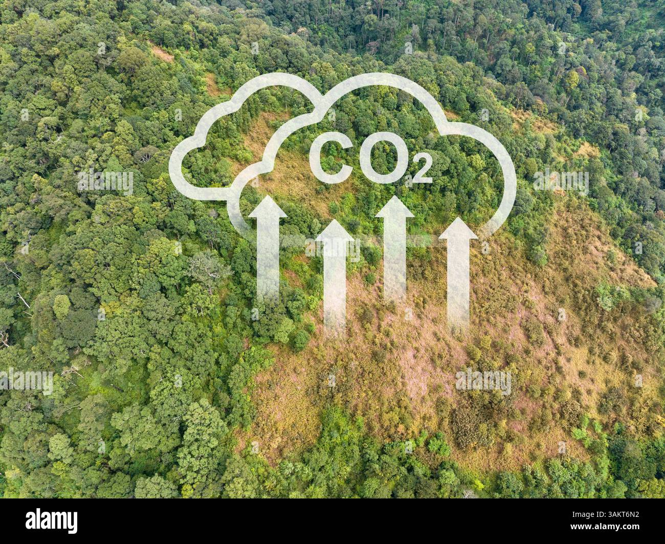 The biggest cause of forest loss is agricultural deforestation ...