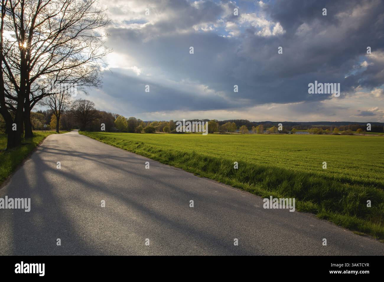 Empty street in raining hi-res stock photography and images - Alamy