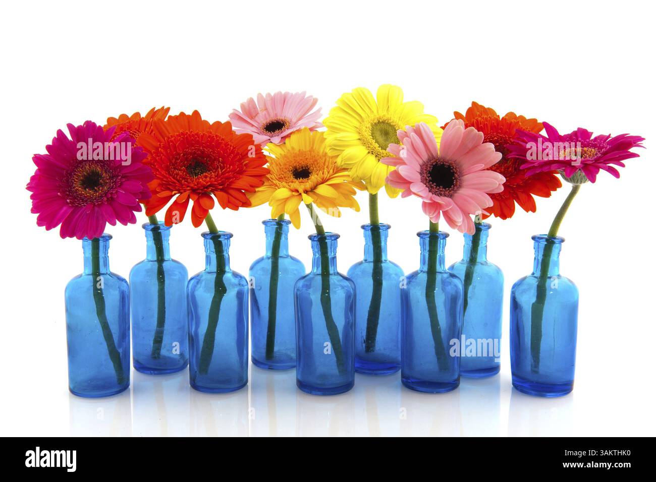 Row blue glass vases with colorful flowers isolated over white Stock ...