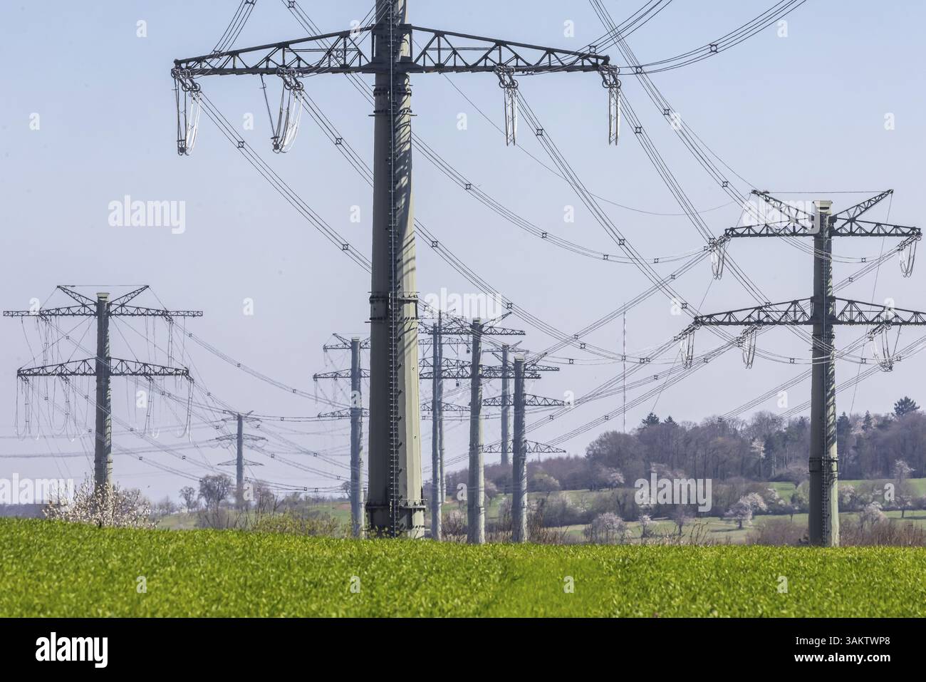 New power line from Birkenfeld to Oetisheim in the Enzkreis district ...