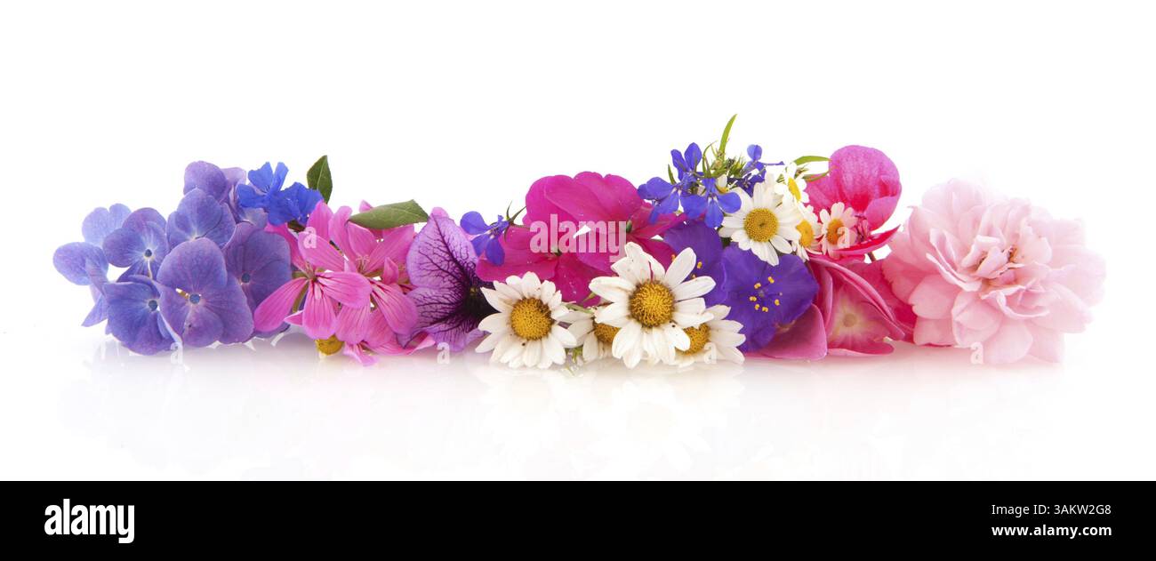 Garland from flowers in the garden isolated over white Stock Photo - Alamy