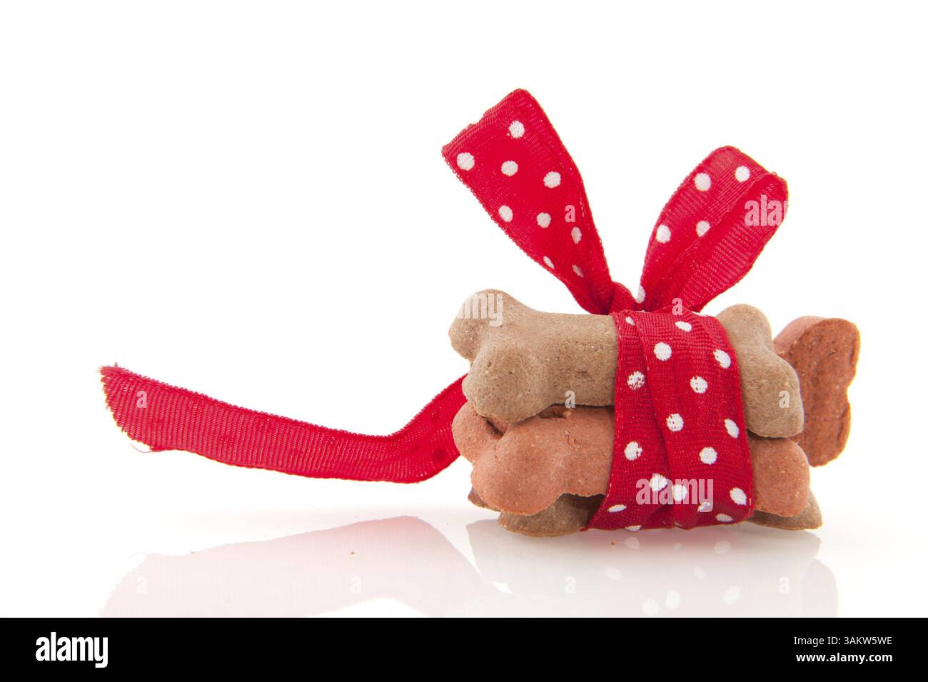 Surprise bones with ribbon and bow for the dog Stock Photo - Alamy