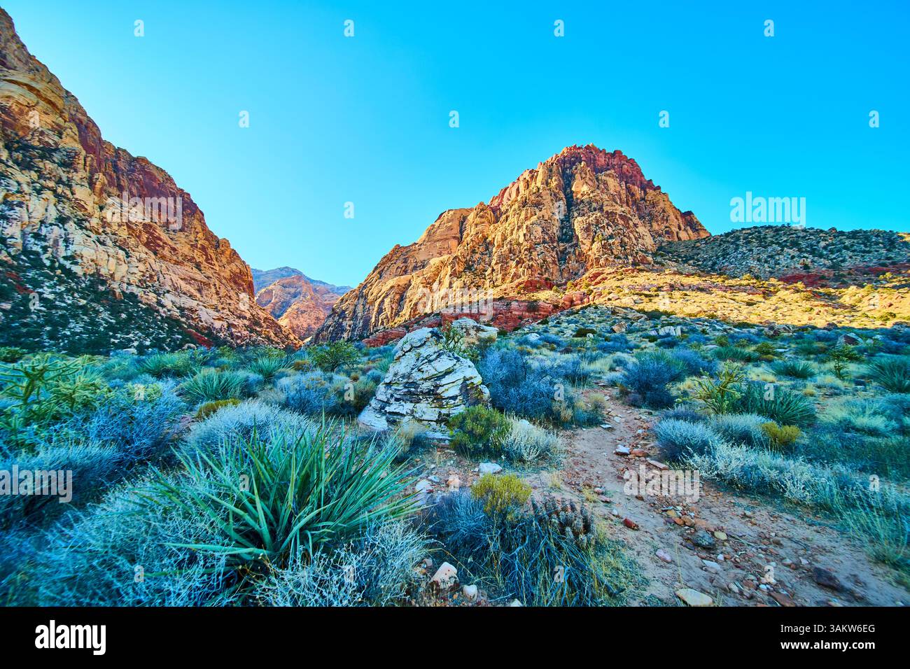 Red Rock Canyon Desert Pathway with Rugged Cliffs Eye Level View Stock ...