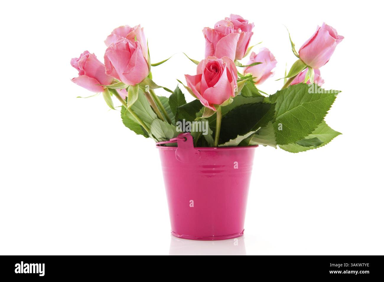 Bouquet roses in pink bucket isolated over white Stock Photo - Alamy