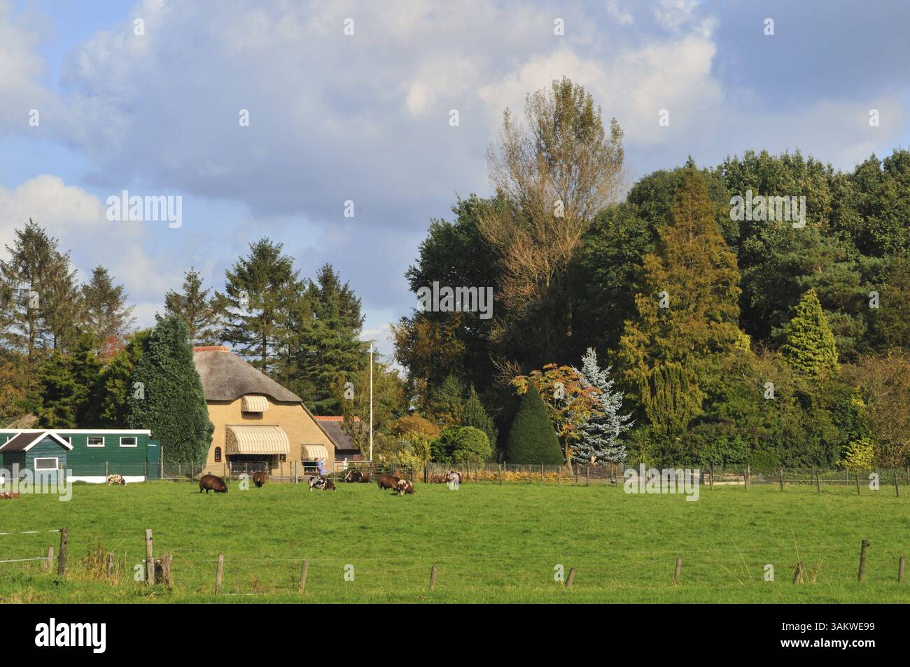 Typical dutch farmhouse in hi-res stock photography and images - Alamy
