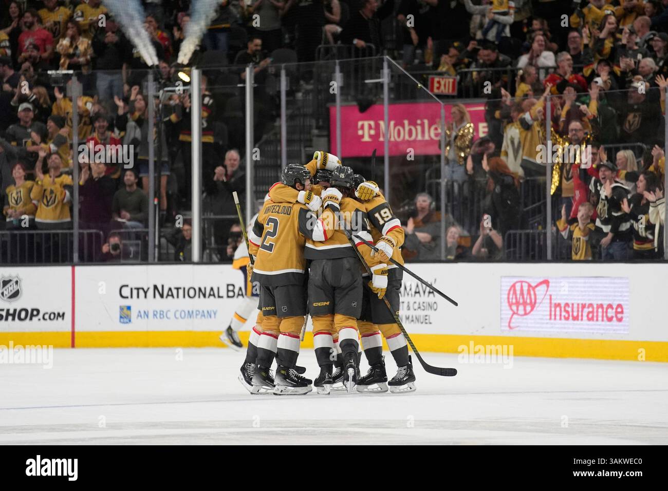 Vegas Golden Knights celebrate after Vegas Golden Knights defenseman ...