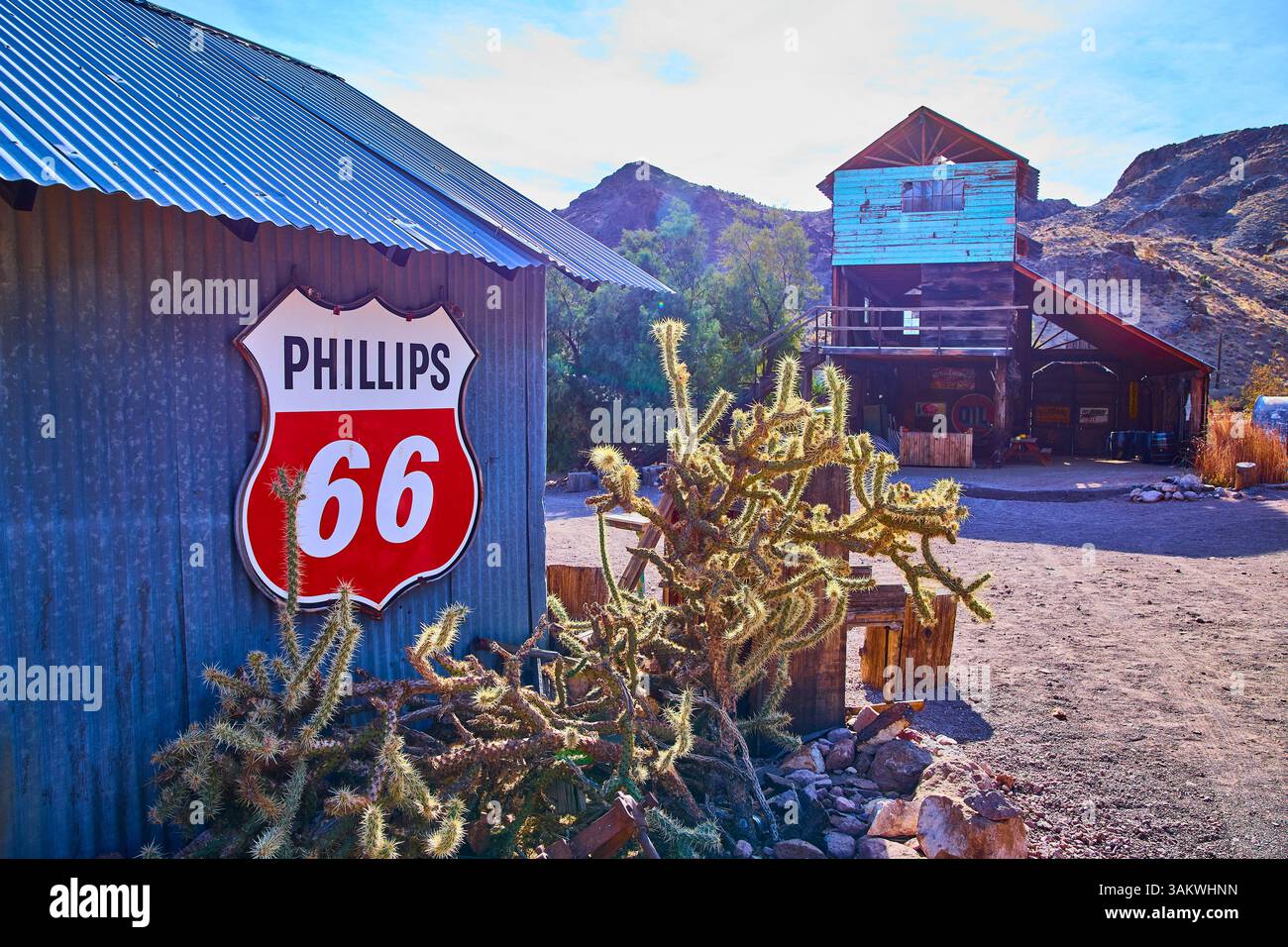 Desert Cacti and Vintage Phillips 66 Sign Nelson Nevada Eye Level View ...