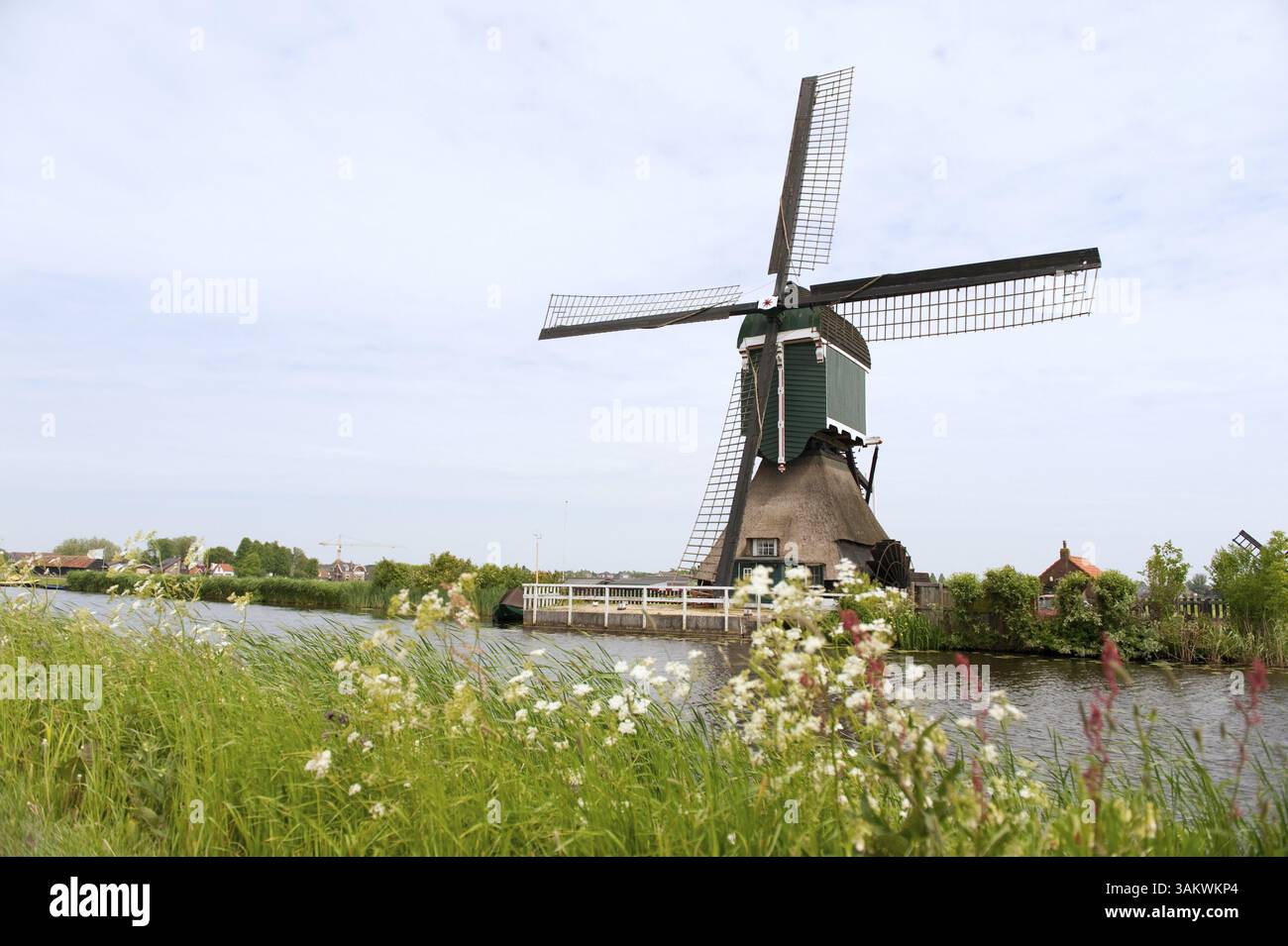 Dutch windmill in typical Hollands landscape near the river Stock Photo ...