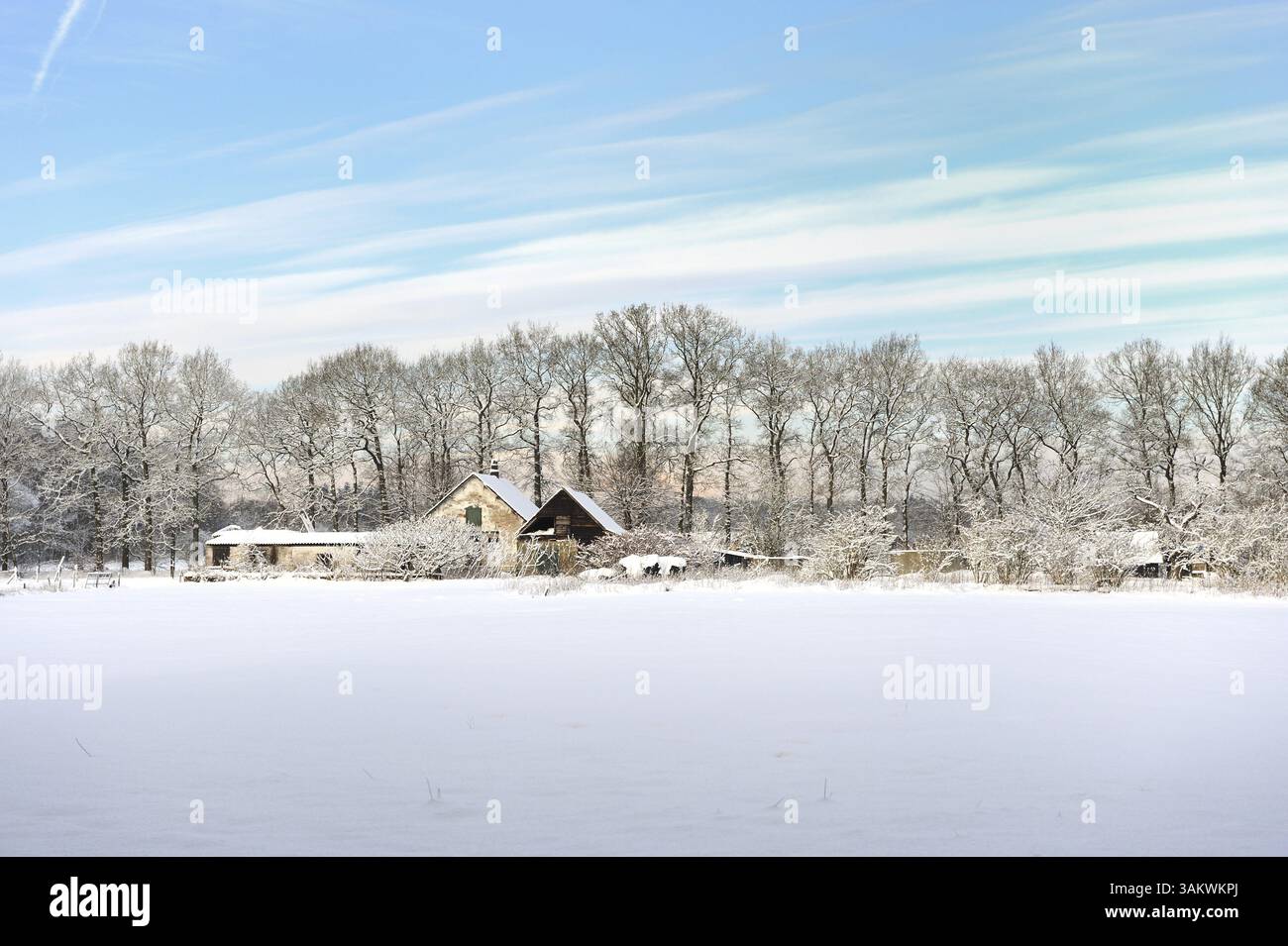 Dutch snow landscape wit farm house and horizon Stock Photo - Alamy