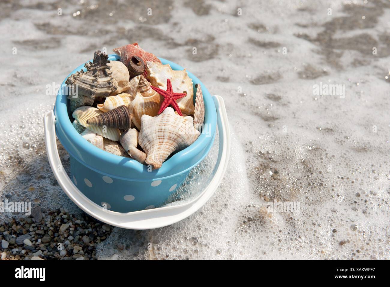 Beach with bucket shells in the sea Stock Photo - Alamy