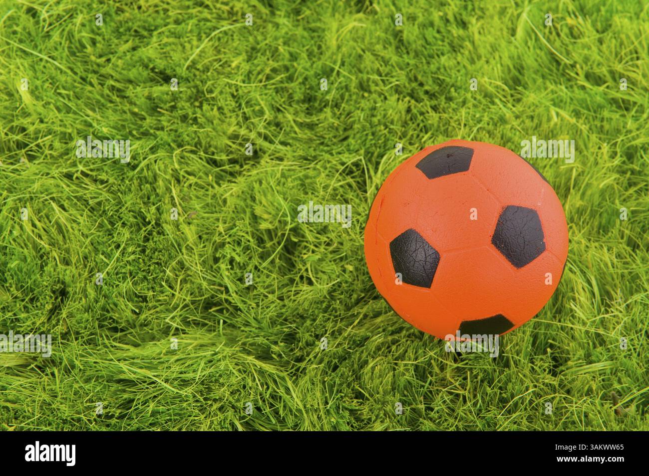 Dutch soccer orange ball in green grass Stock Photo - Alamy