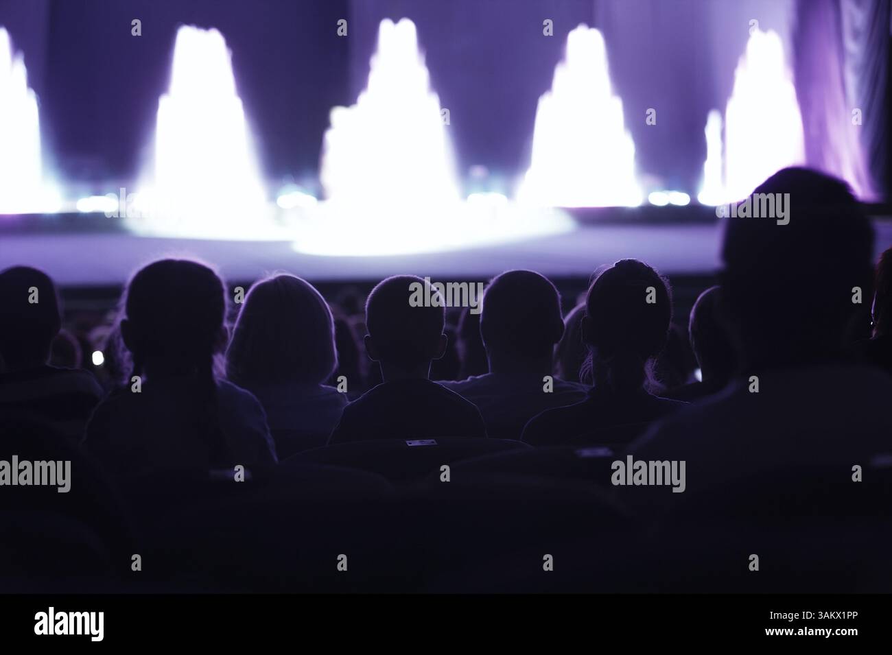 Audience seated in an auditorium or theatre watching a live performance ...