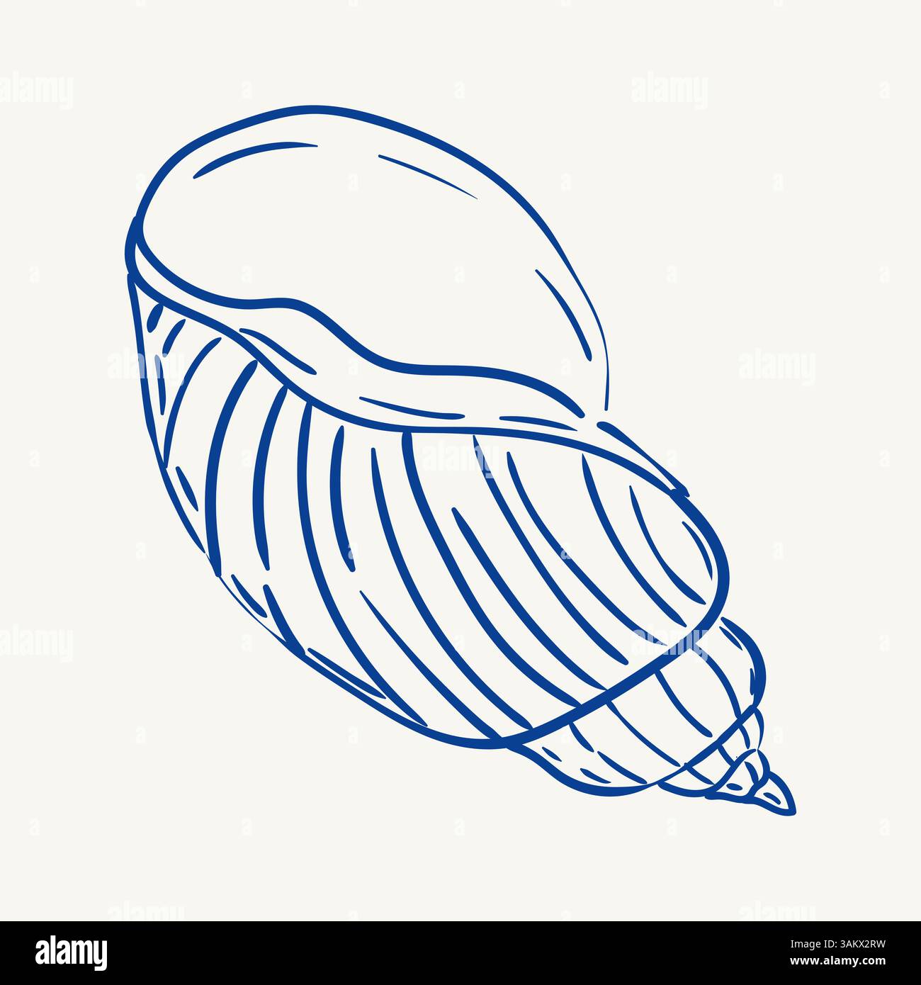 Unique blue shell illustration with detailed textures and patterns ...