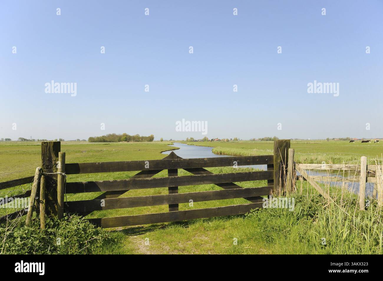 Dutch landscape with fence in polder Stock Photo - Alamy