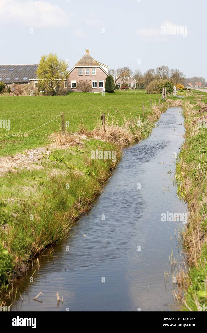 Dutch farmhouse in landscape with ditch and meadows Stock Photo - Alamy