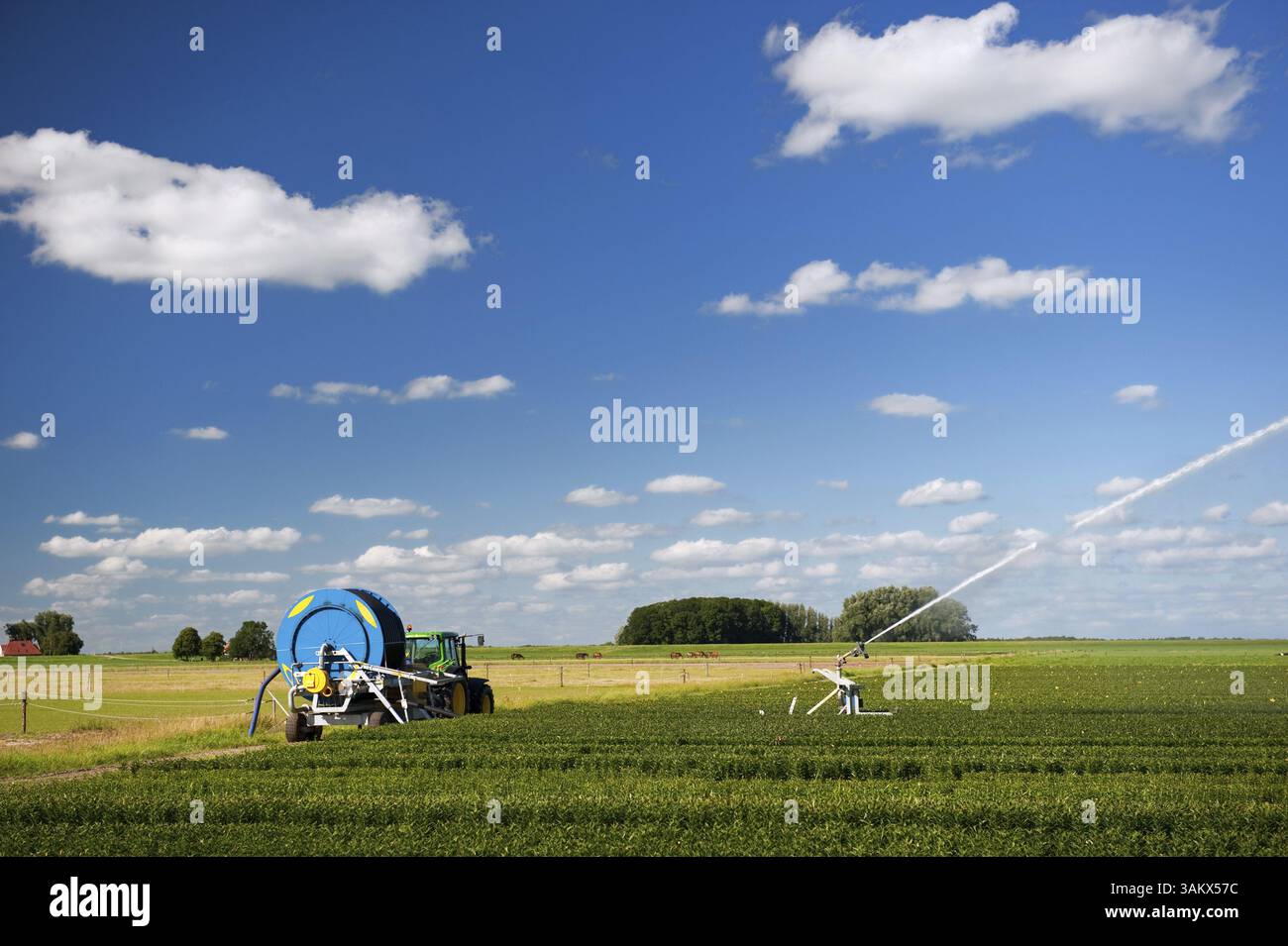 Watering the agriculture fields in nature landscape Stock Photo - Alamy