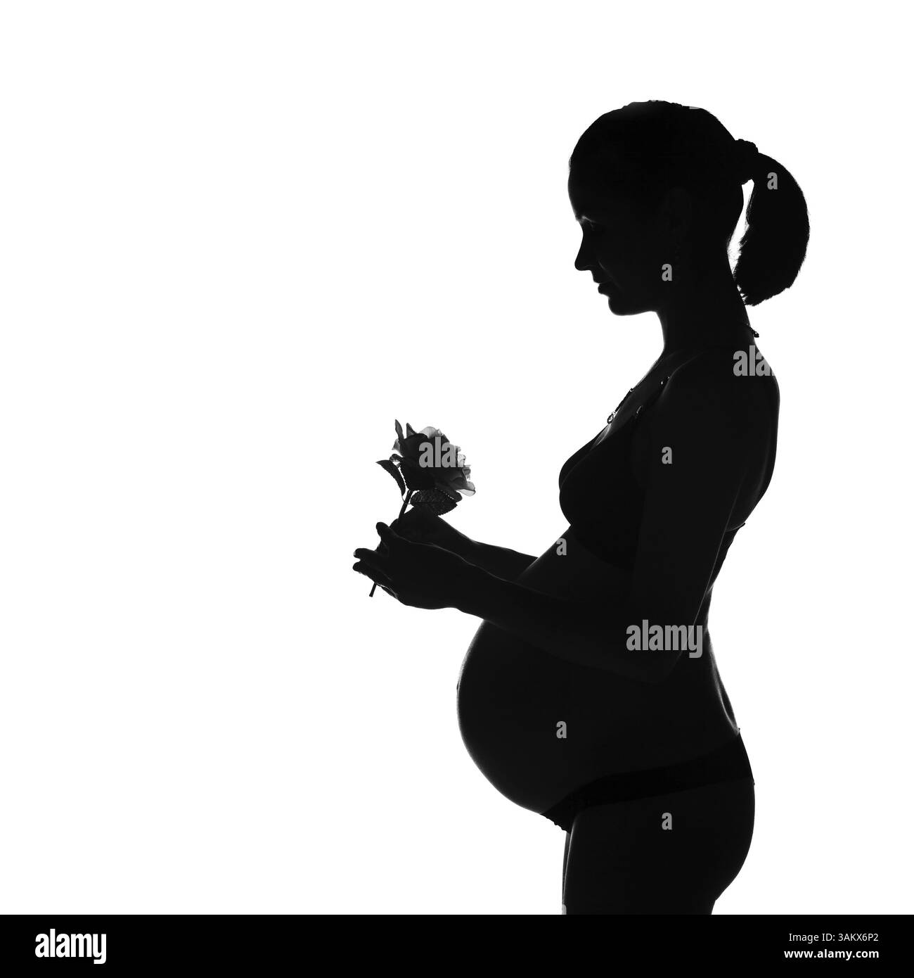 Silhouette of 33-weeks pregnant woman with rose flower Stock Photo - Alamy